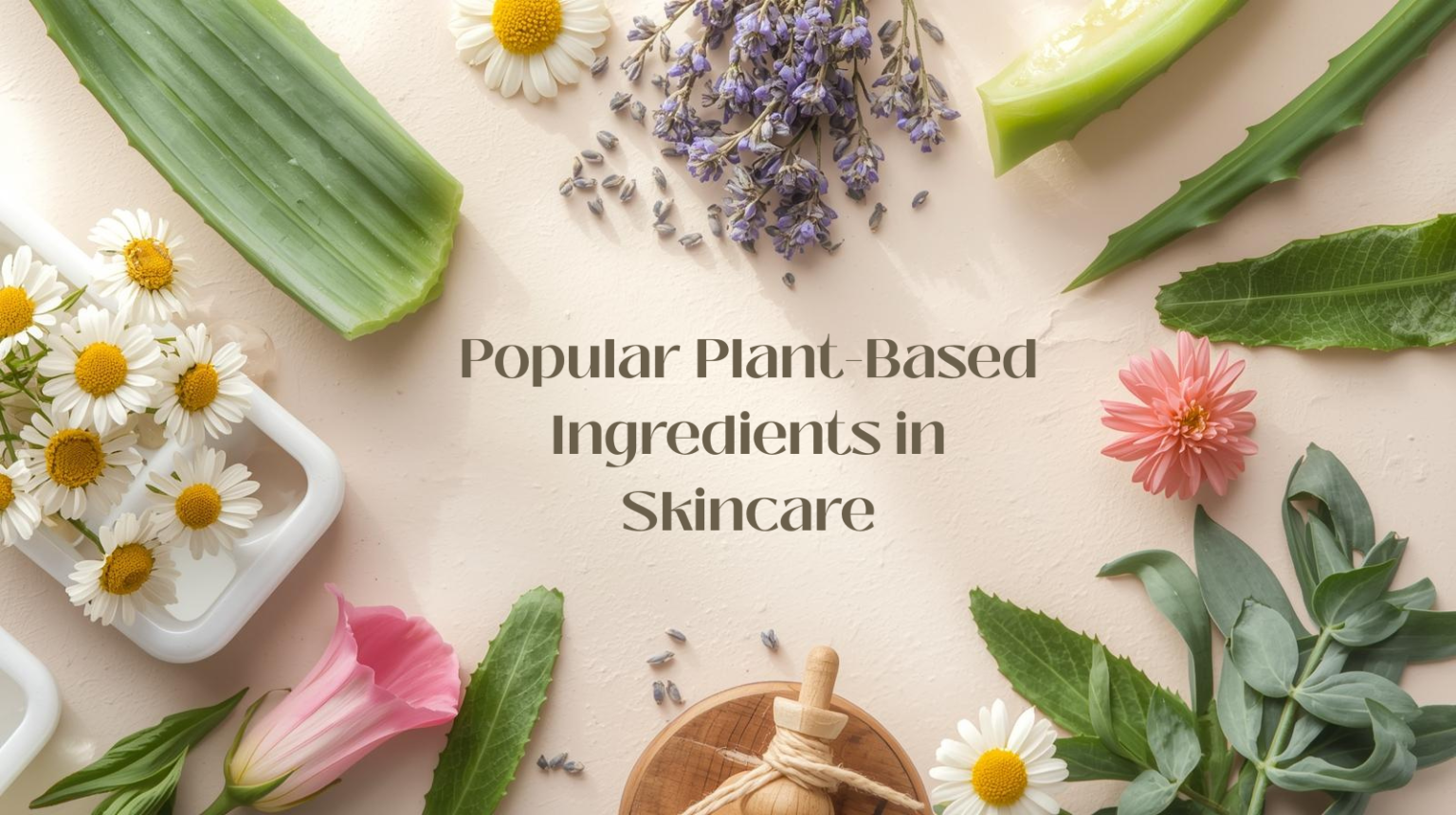 5 Benefits of Plant-Based Skincare: How Nature Can Transform Your Skin ...
